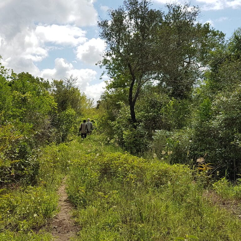 Home - A Rocha International